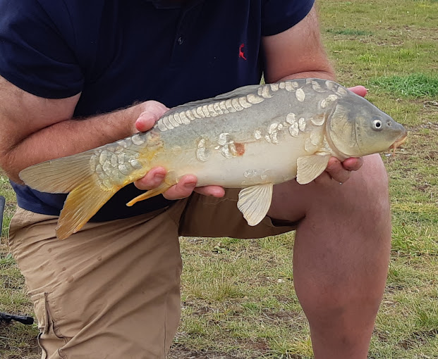 Fishing | Catch water Country Park